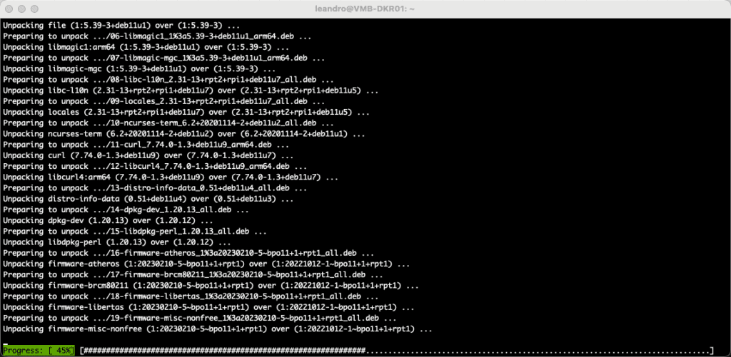 Instalando Docker e Docker Compose no Raspberry Pi 4 - Leandro Franklin